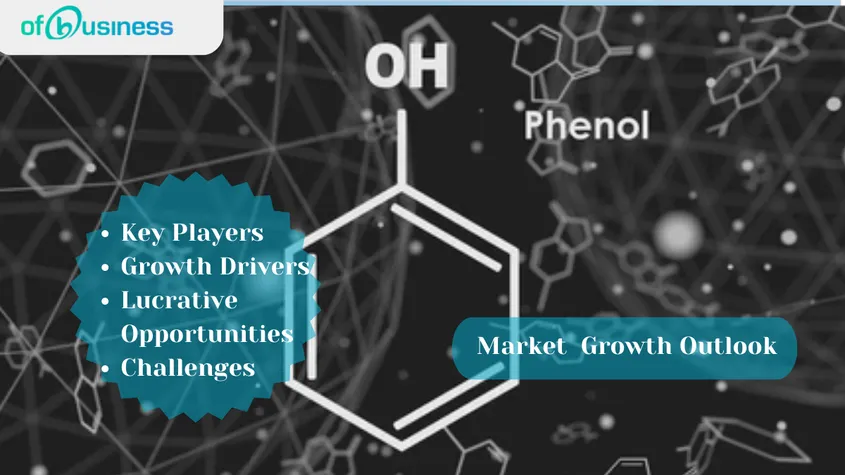 Global Phenol Market Thriving On Increasing Demand And Diverse Applications