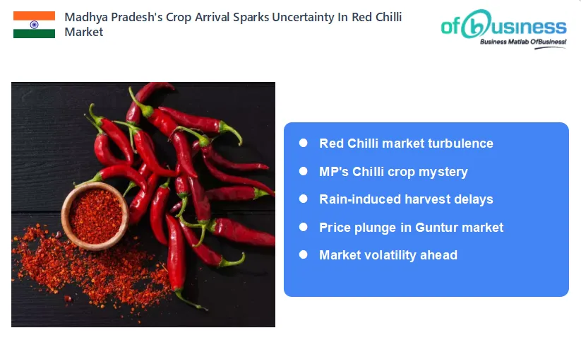 Madhya Pradesh's Crop Arrival Sparks Uncertainty In Red Chilli Market